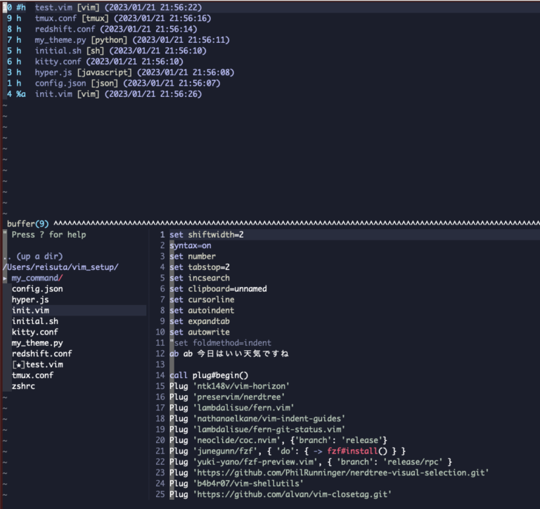 【Vim/NeoVimプラグイン】これだけは入れておきたいプラグイン10選 - フルスタックLinuxプログラミング