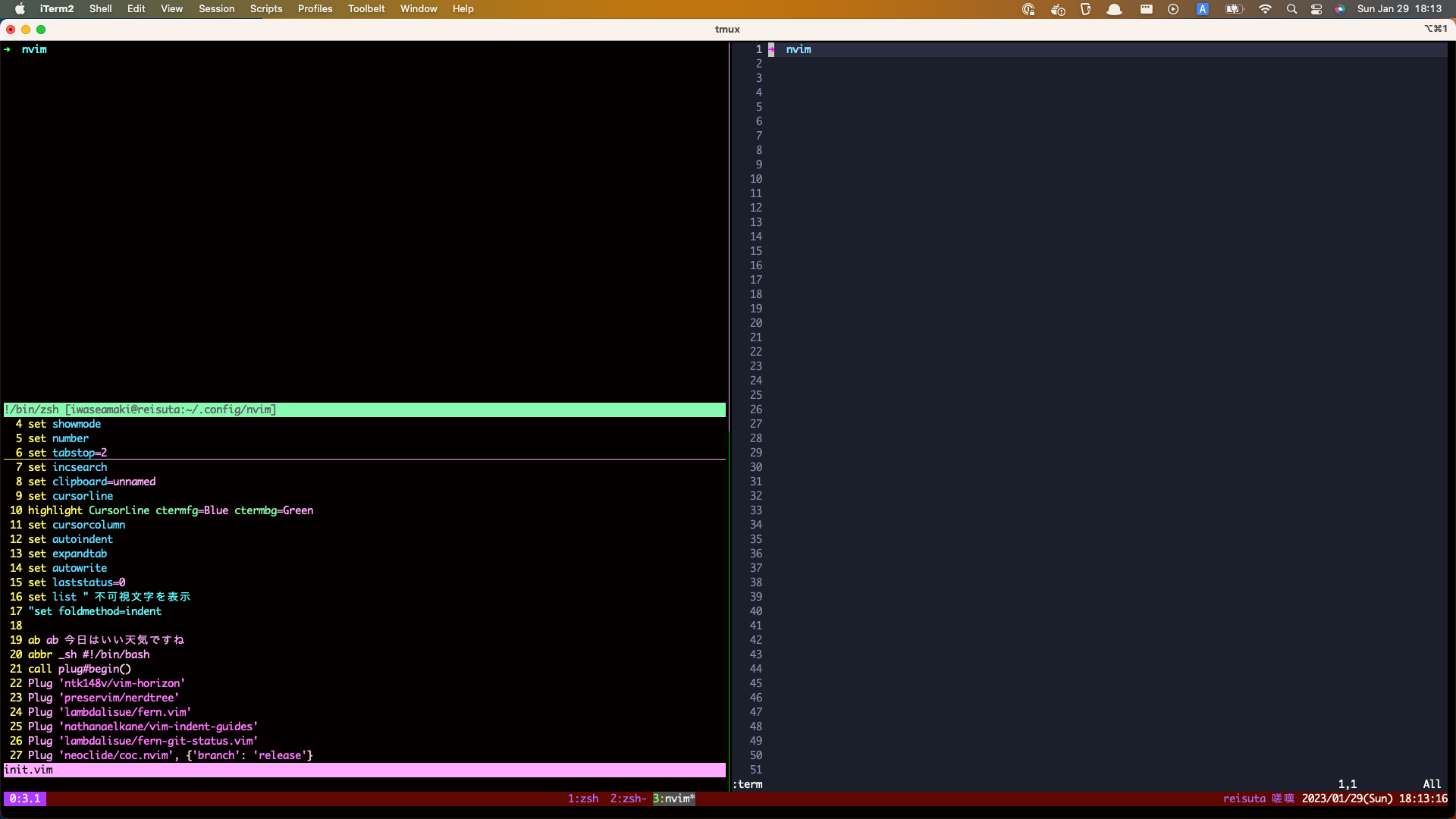 Vimとneovimの違いについて Initvimサンプル公開 フルスタックlinuxプログラミング